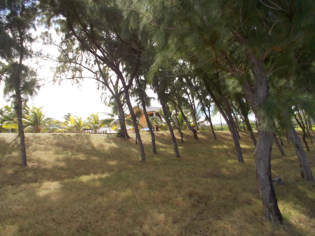 La Plage de Gravier - Gravier Beach House - Rodrigues Gravier Beach ...