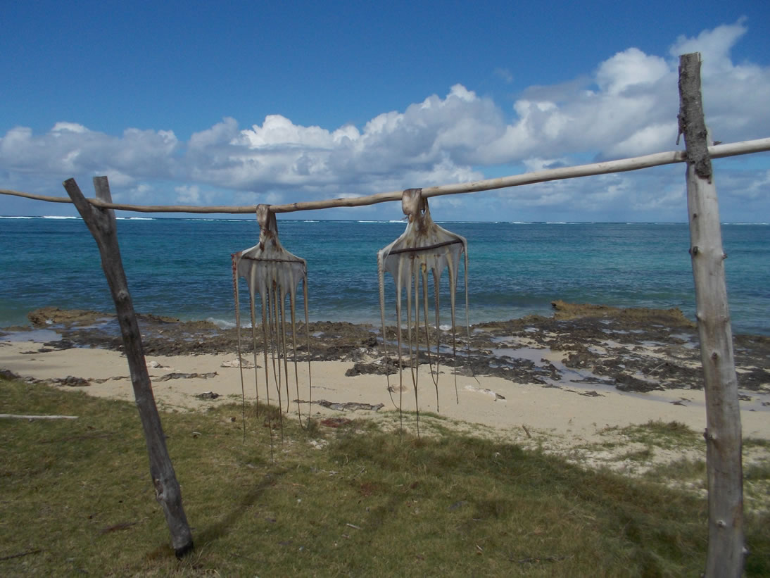 La Plage de Gravier - Gravier Beach House - Rodrigues Gravier Beach ...